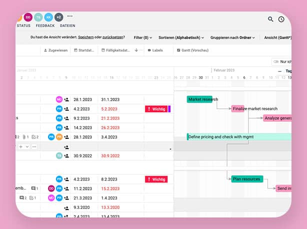 Timeline und Gantt - Experten Ansicht im Projekt